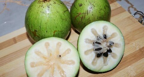 Caimito, Star Apple Sweet & Milky Tropical Fruit/FilipinoEggrolls